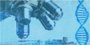 August Electronics: Full Scale Electronic Manufacturing Services